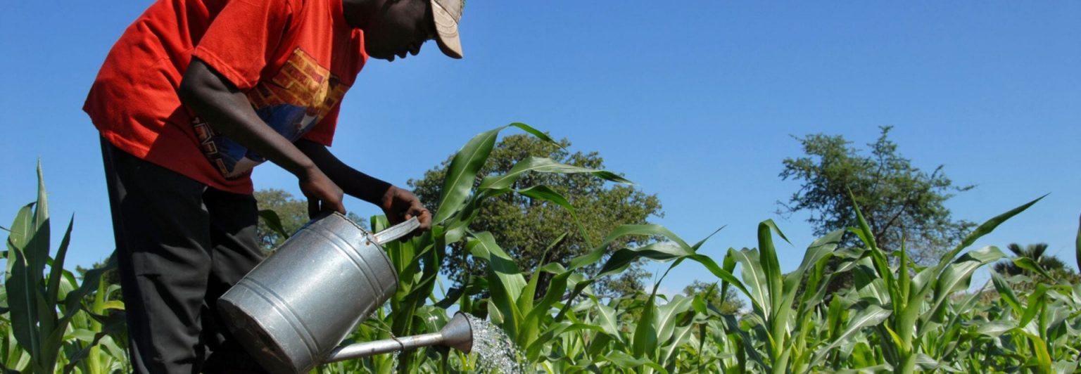 Droughts, Hurricanes, Pandemic, and Hope: Current realities impacting ...