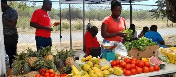 Rural Agricultural Development Authority - Jamaica, Caribbean region ...