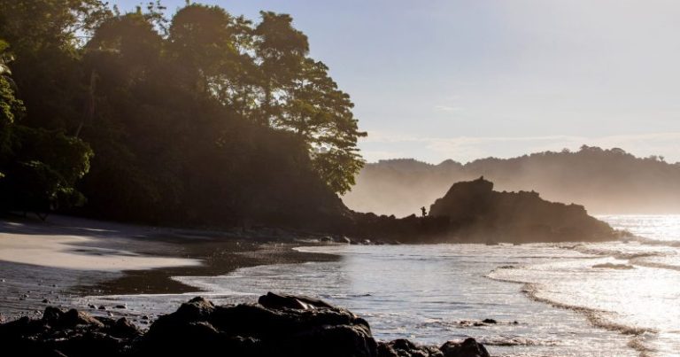 Cayuga Collection | Business View Caribbean